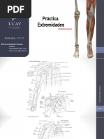 Ubicación del pulso cubital | PDF
