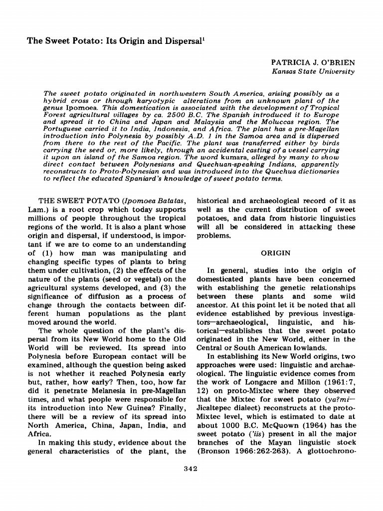Sweet Potato's Origin and Spread | PDF | Polynesia | Sweet Potato