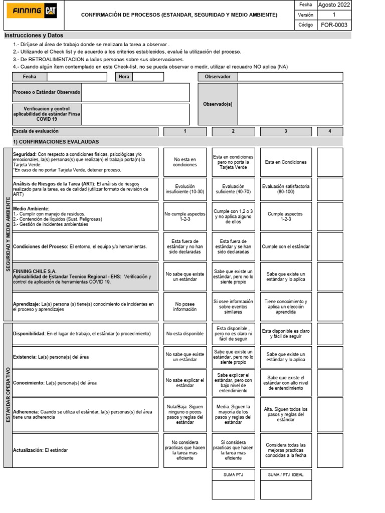 3 For 003 Confirmacion de Procesos RT v2 | PDF | Ciencia cognitiva