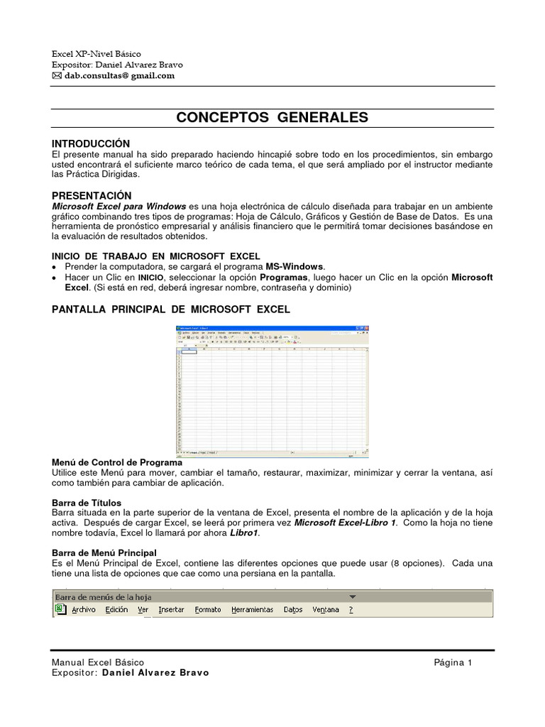 Excel XP Nivel Basico | PDF