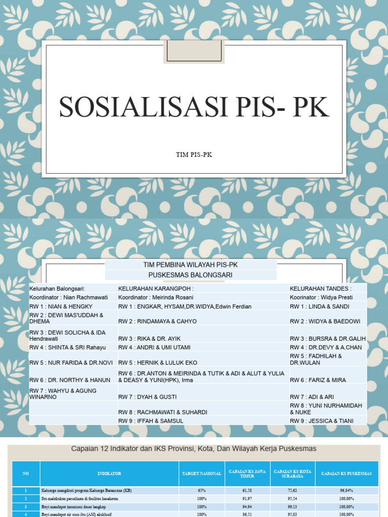 Presentasi Pis - PK TW 1 Tahun 2024 | PDF