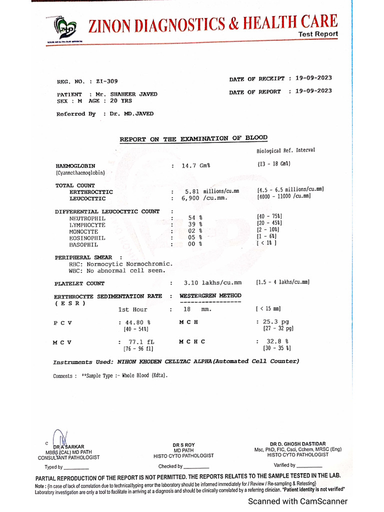 Blood Exam Report | PDF