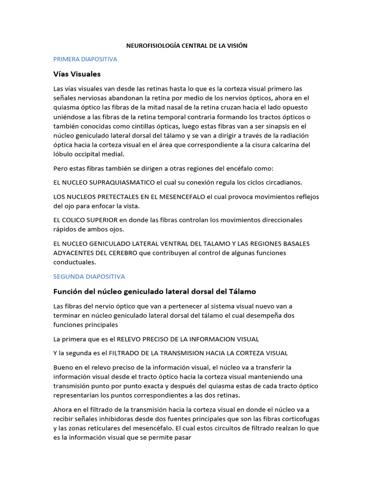 Guion para Diapos | PDF