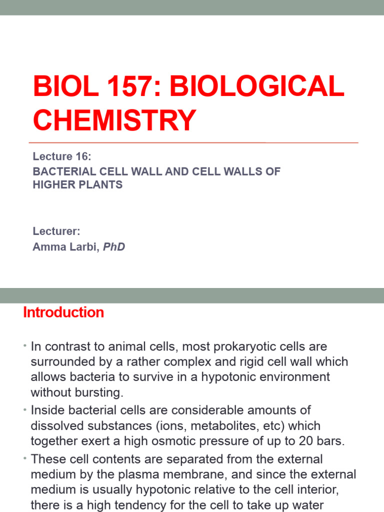 Bacterial Cell Wall and Gram Staining | PDF | Staining | Cell Wall