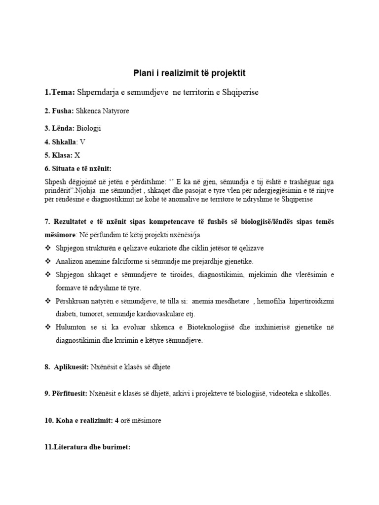 Plani I Realizimit Të Projektit | PDF