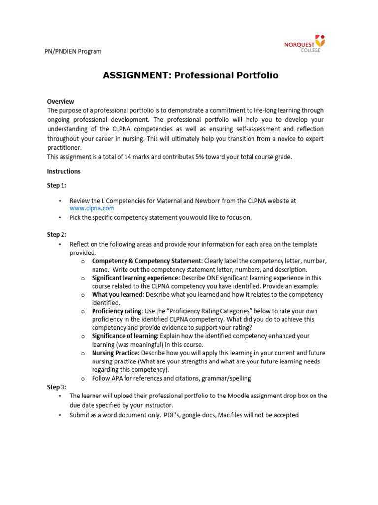 Assignment 2 - Professional Porfolio Instructions V1.23 | PDF