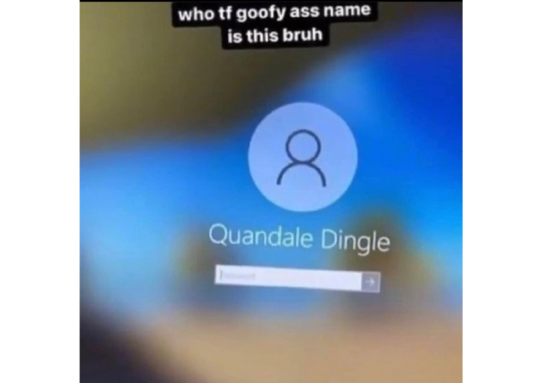 Quandale Dingle | PDF