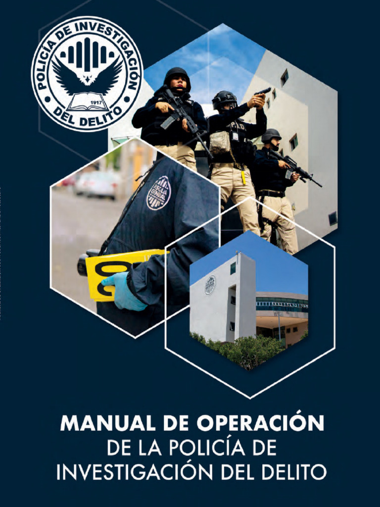 Manual PDI | PDF | Policía | Fiscal