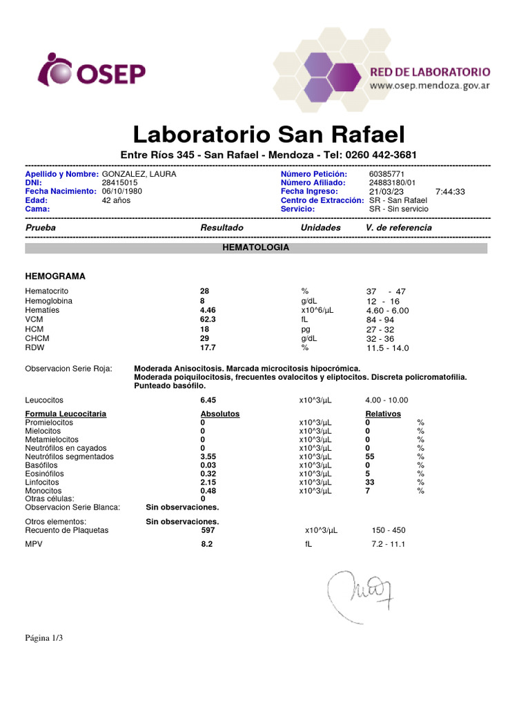 Laboratorio San Rafael | PDF