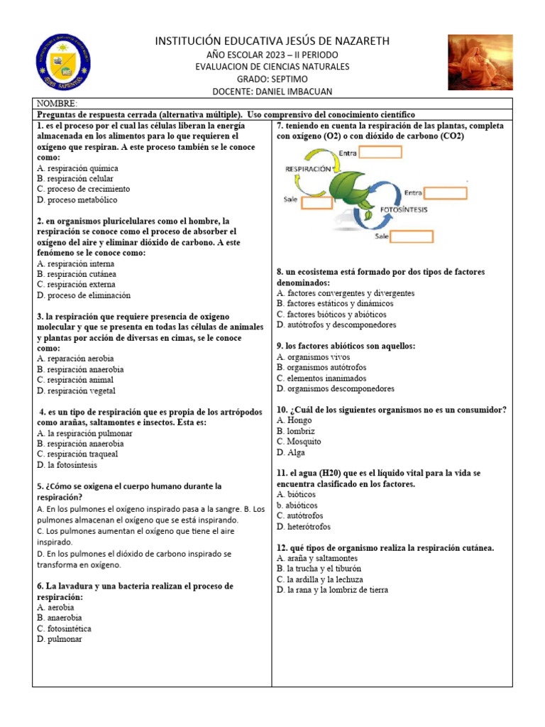 Evaluación de Respiración Celular 7° grado | PDF | Respiración celular ...