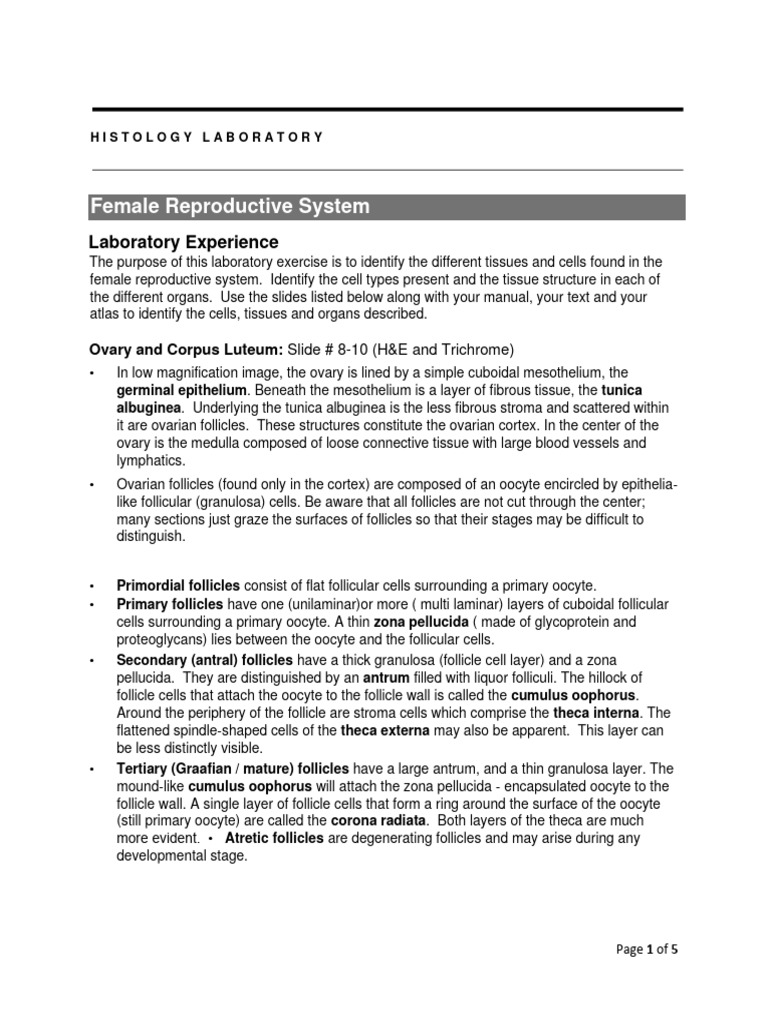 Lab Supplement | PDF