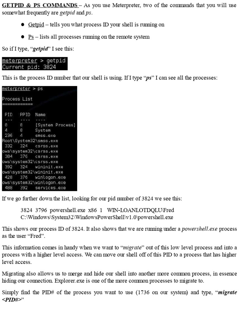 Kali 5 | PDF | Computer File | Shell (Computing)