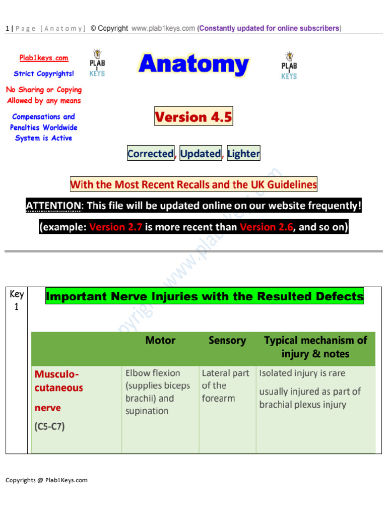 Anatomy | PDF