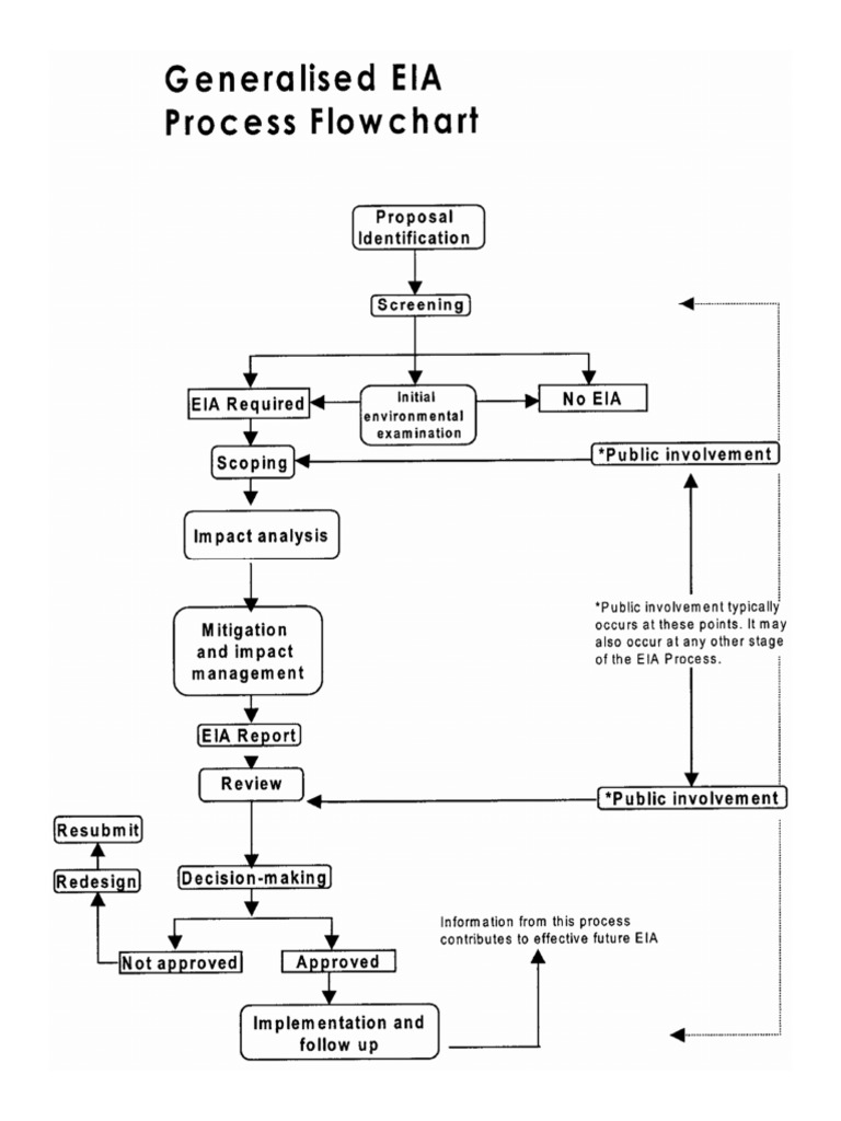EIA Flow Charts | PDF