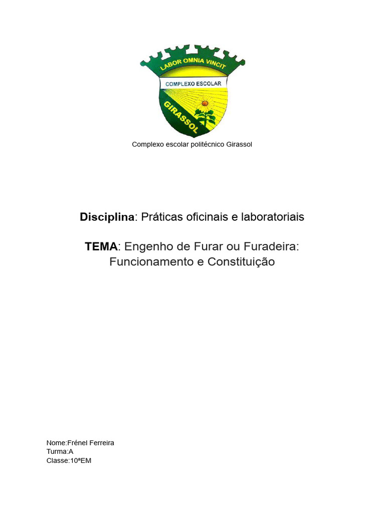 Complexo Escolar Politécnico Girassol Trabalho de Frénel | PDF ...