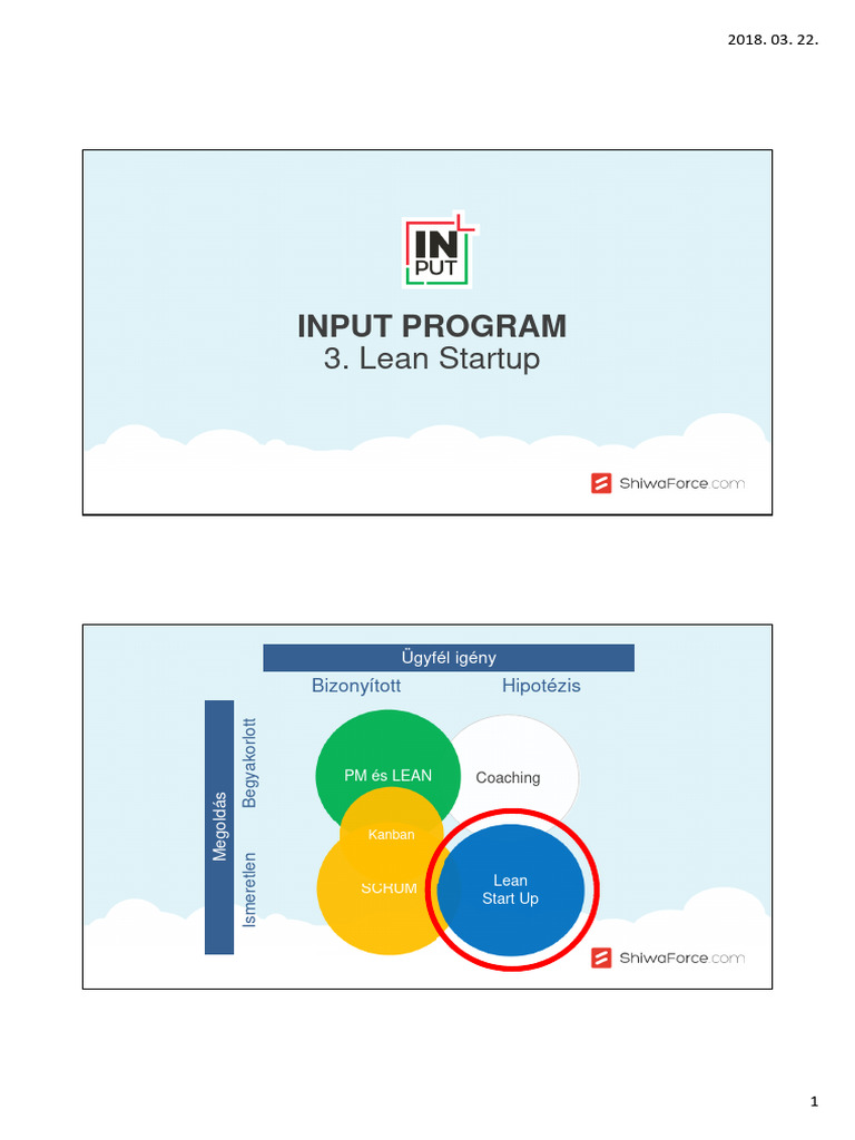 Input Program 3. Lean Startup | PDF