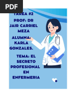 El Secreto Profesional en Enfermeria | PDF