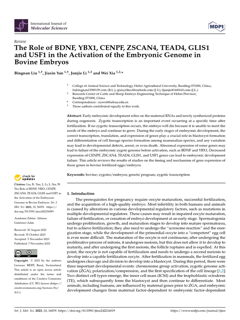 Bingnan Liu | Download Free PDF | Embryo | Cellular Differentiation