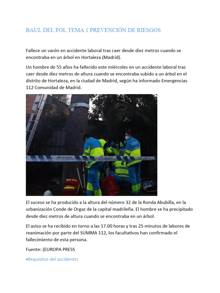 Baul Del Fol Tema 1 Prevención de Riesgos | PDF