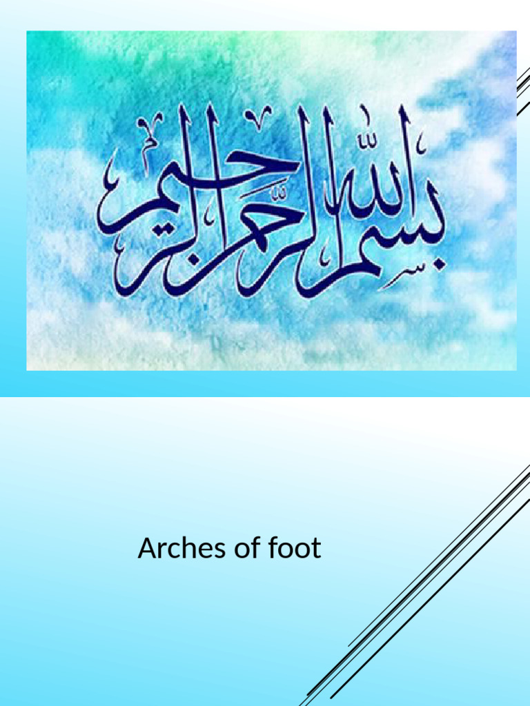 Arches of Foot | PDF | Foot | Human Leg