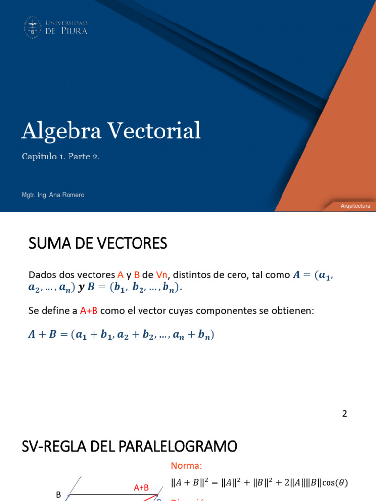 Algebra Vectorial P2.0 | PDF | Vector Euclidiano | Norma (Matemáticas)