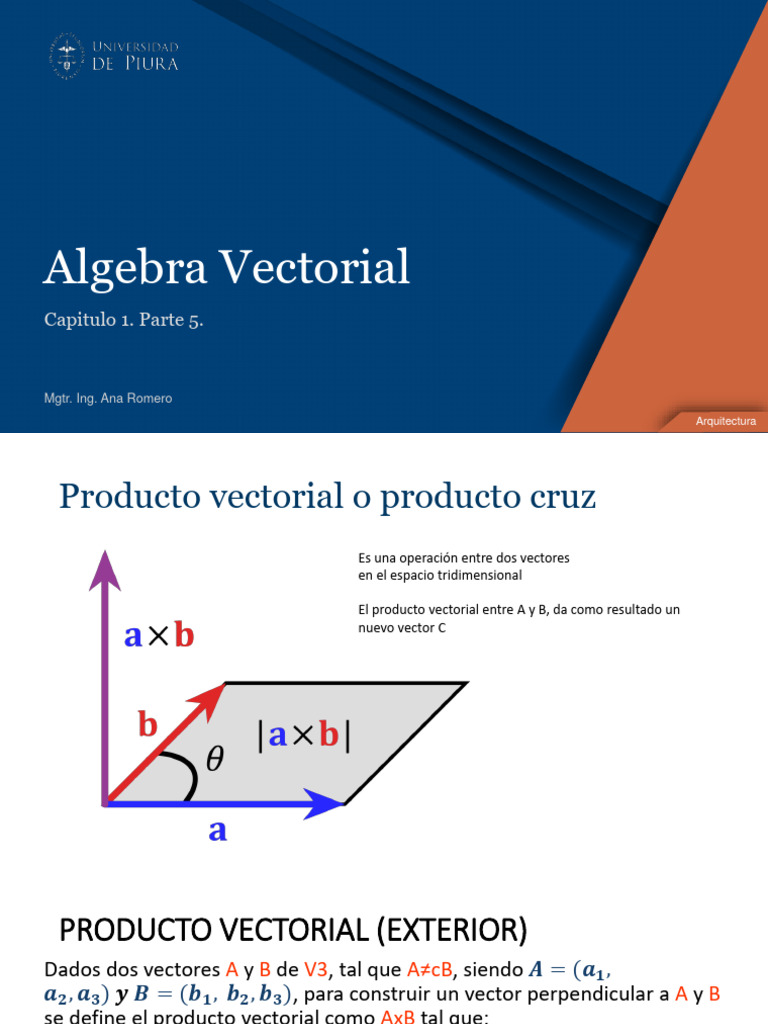 Algebra Vectorial P5.0 | PDF