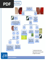 Streak Plate Method - Principle, Types, Methods, Uses | PDF ...