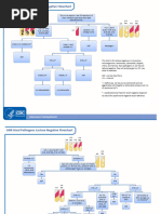 ISO 9308-1 2014 (En) | PDF | Escherichia Coli | International ...