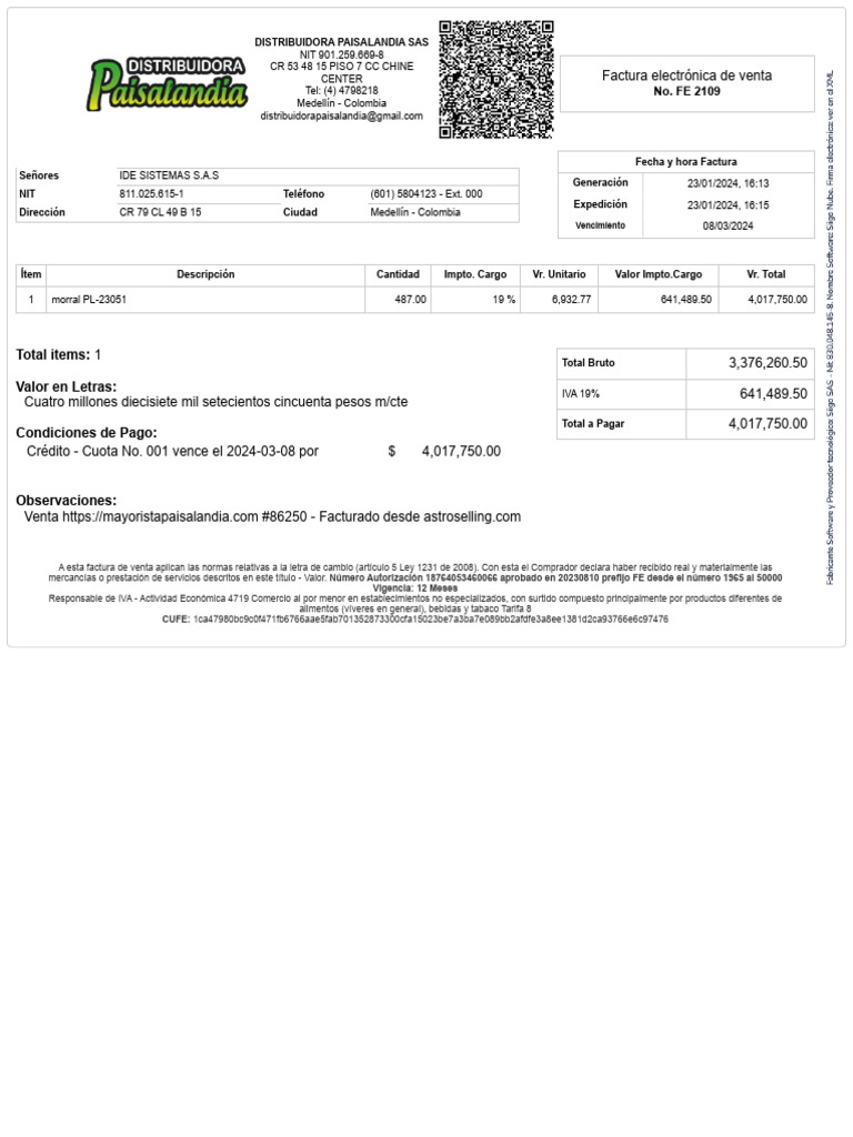 Ide Sistemas Sas | PDF | Economias | Business