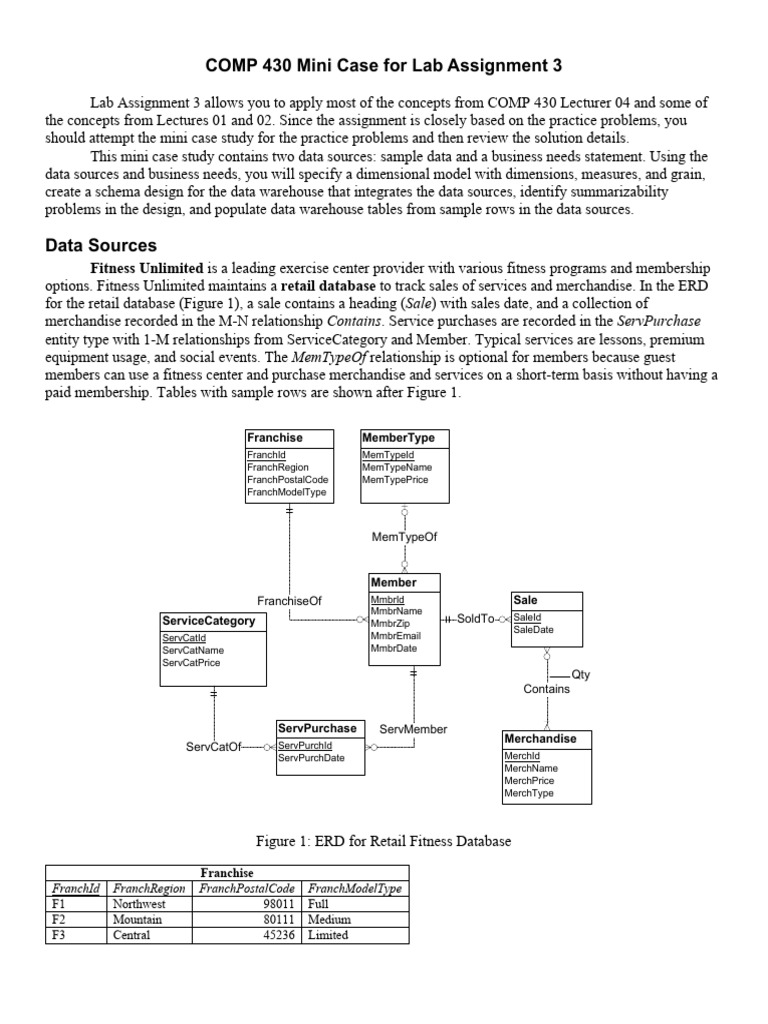 COMP 430 Mini Case For Lab Assignment 3 | Download Free PDF | Table (Database) | Data Warehouse