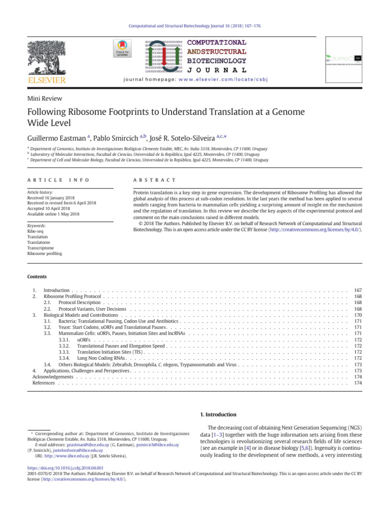 Ribo Seq 2 Pdf Translation Biology Messenger Rna