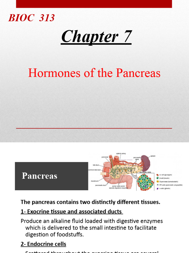 7 Hormones of Pancreas | PDF | Insulin | Pancreas