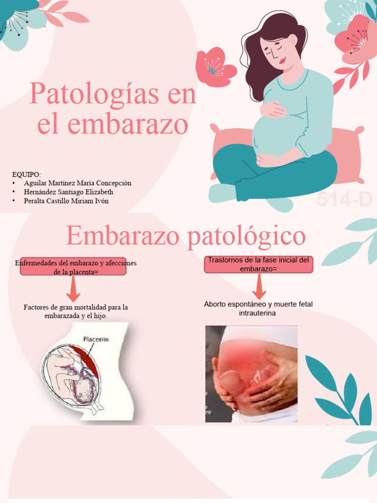 Patologias en El Embarazo | PDF | El embarazo | Feto