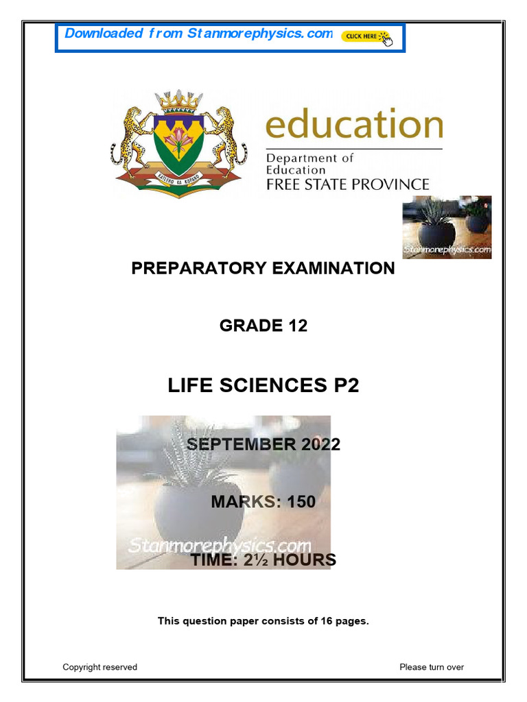 Fs Life Sciences Sept 2022 p2 and Memo | PDF | Translation (Biology) | Meiosis