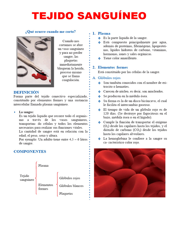 Ficha Tejido Sanguineo | PDF | Leucemia | Sangre