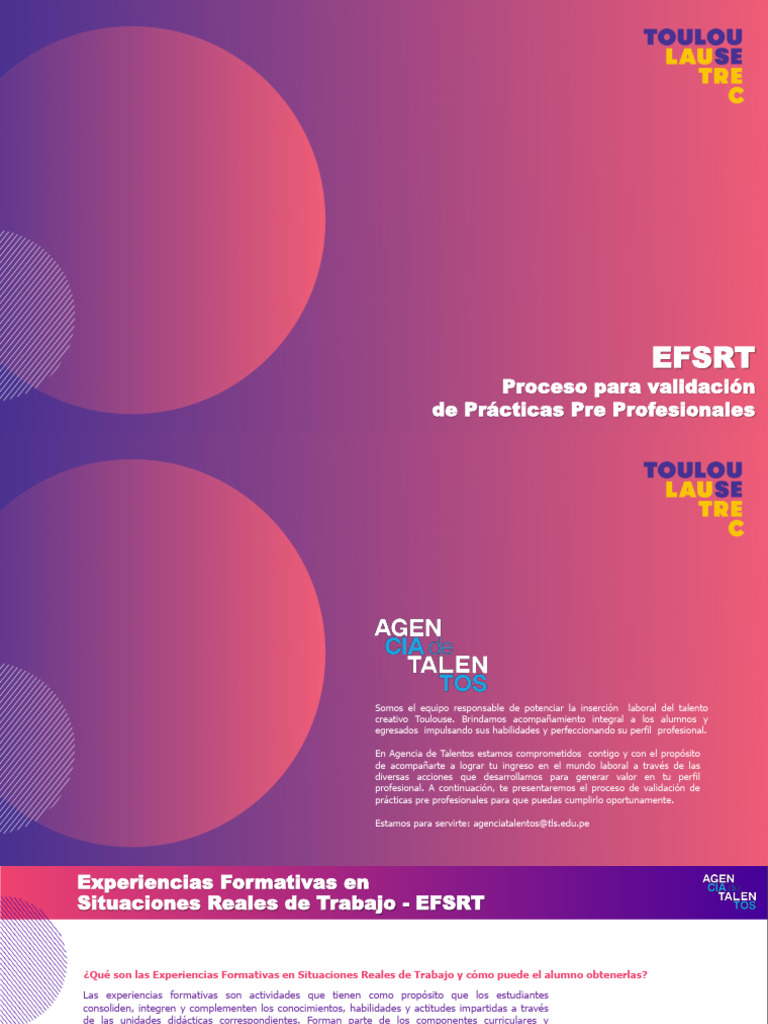 Guía para Validar Prácticas Preprofesionales | PDF