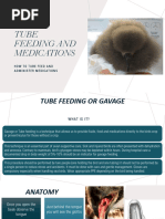 Oral Gavage Guidelines for Mice and Rats | PDF | Animal Welfare ...