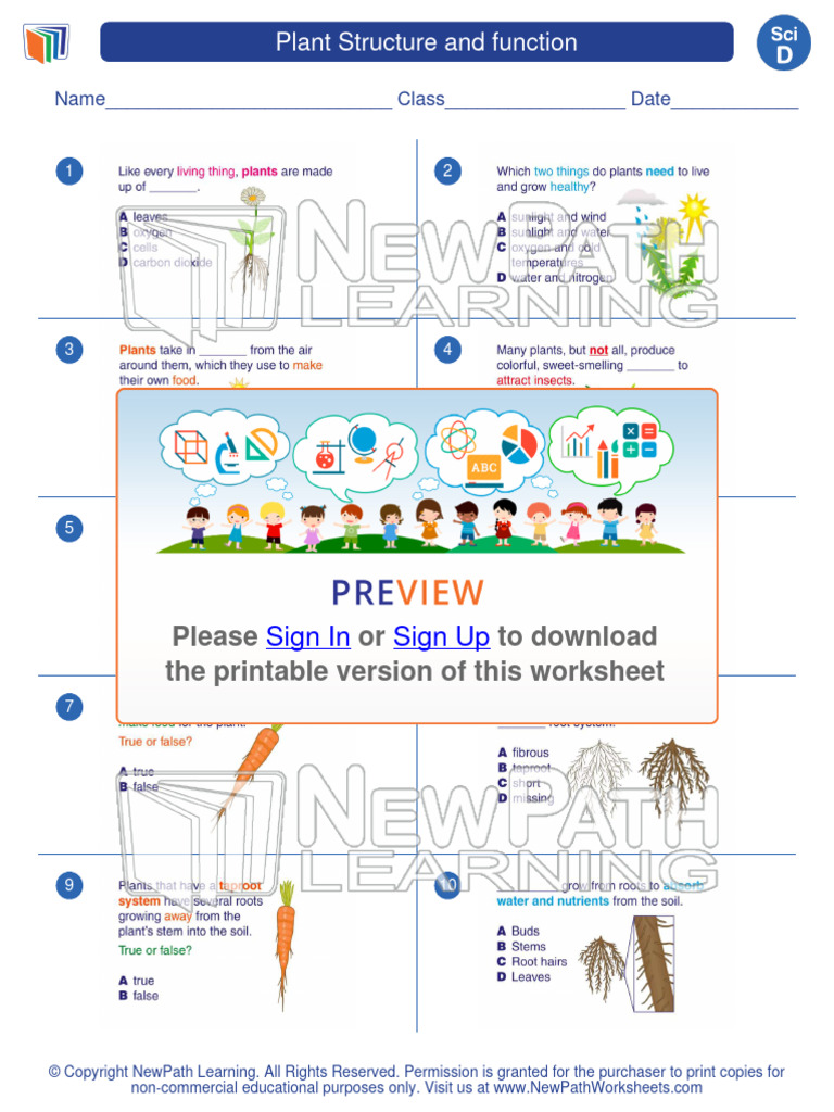 Worksheet Science Grade 4 Plant Structure and Function 1 0 | PDF | All ...