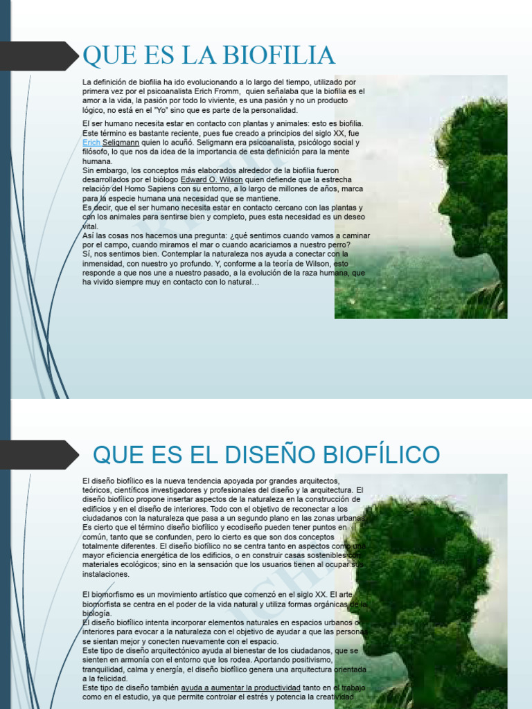 Biofilia en Arquitectura Universidad Autonoma Tomas Frias | PDF