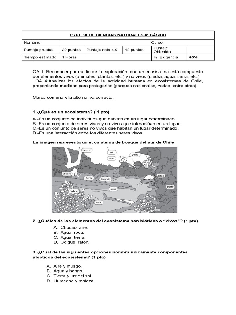 Prueba de Ciencias Naturales 4° Básico Ecosistema | PDF | Ciencia y matemáticas