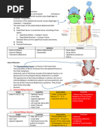 6 - Pelvic Rocking Exercises | PDF | Pelvis | Abdomen
