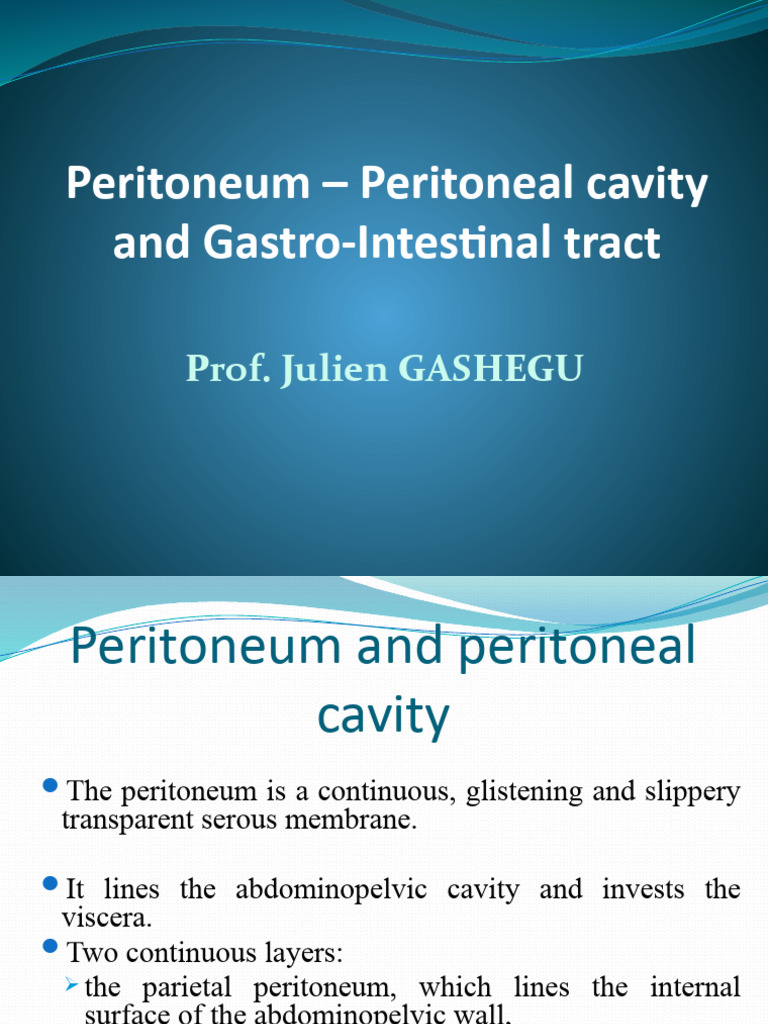 Peritoneum and Gastro-Intestinal Tract | PDF | Peritoneum | Stomach