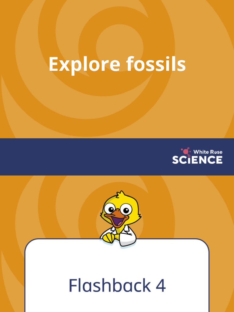 Y3 Spring Block 1 TS1 Explore Fossils | PDF | Fossil | Taxa
