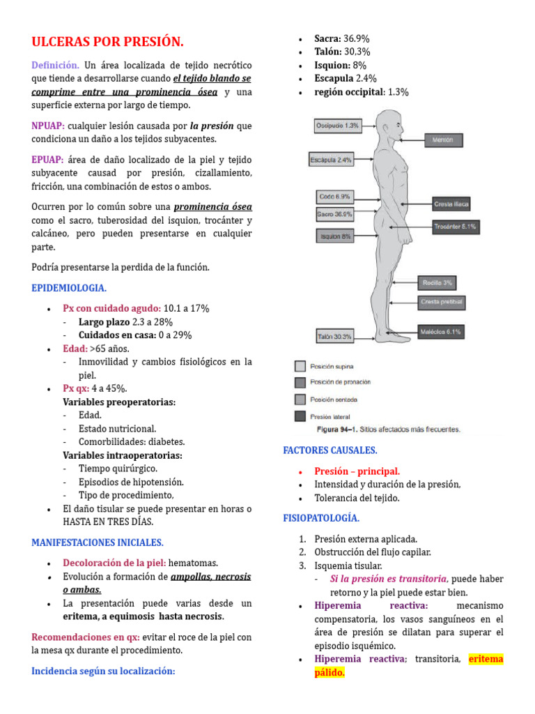 Guia Ciru | PDF | Ciencia y matemáticas