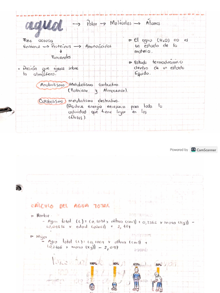 Apun Física I | PDF