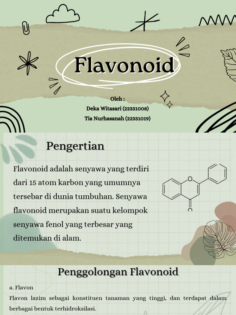 Flavonoid PPT | PDF
