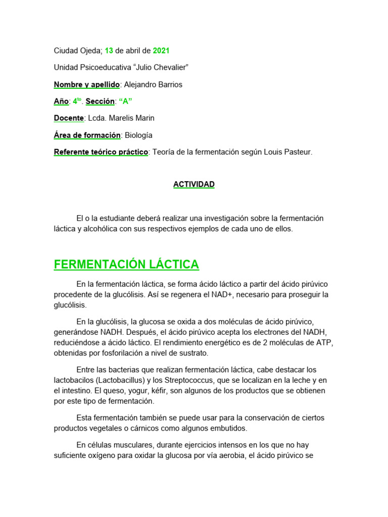 Fermentación Láctica y Alcohólica | PDF | Fermentación | Glucólisis