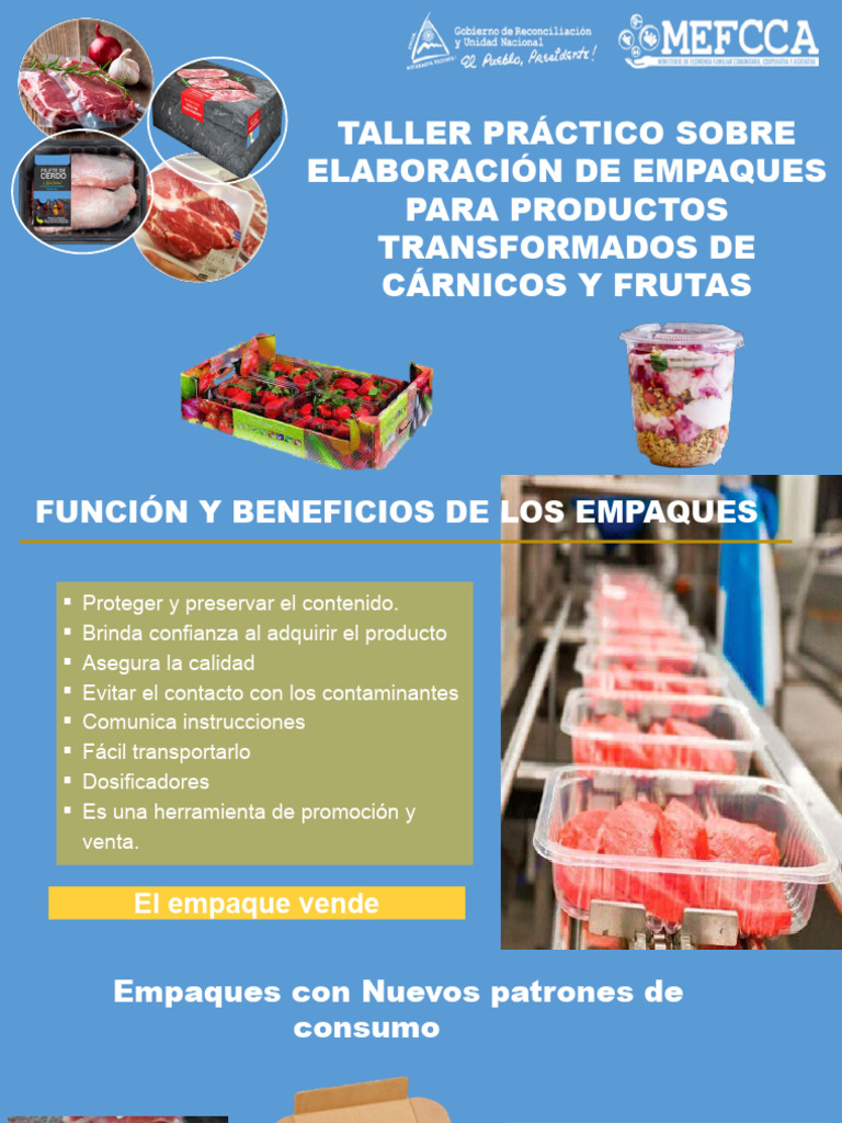 Taller Práctico Elaboración de Empaques Productos Transformados Carnico y Frutas Dgavc 13122023 ...