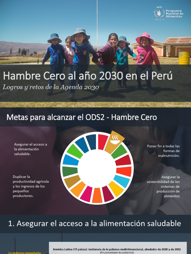 Hambre Cero Pdf Hambre America Latina