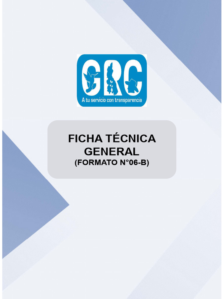 Ficha Técnica General (Formato #06 - B) | Descargar gratis PDF | Enseñando | Maestros